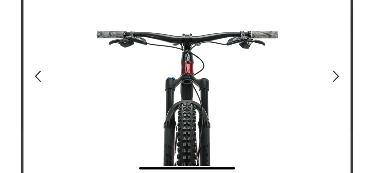 2021 Trek Fuel Ex
