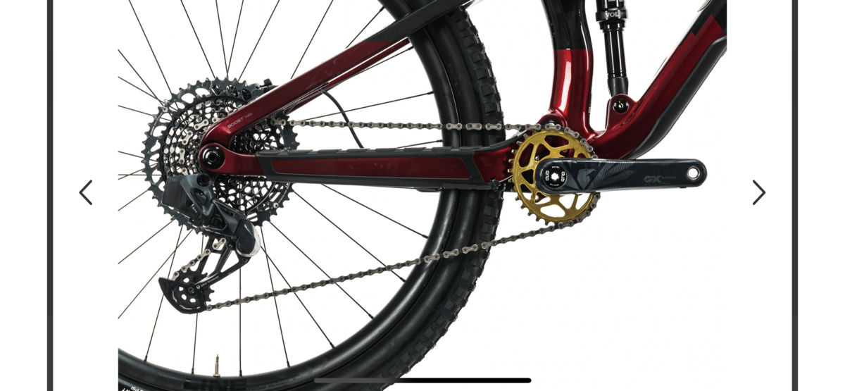 2021 Trek Fuel Ex
