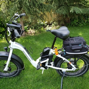 2022 Rad Power Bikes RADEXPAND 5