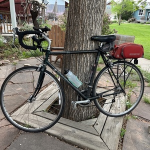 Stolen 1995 Trek 2120