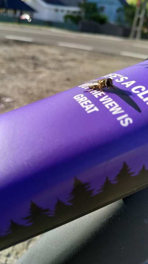 2021 Cross Fusion Pro