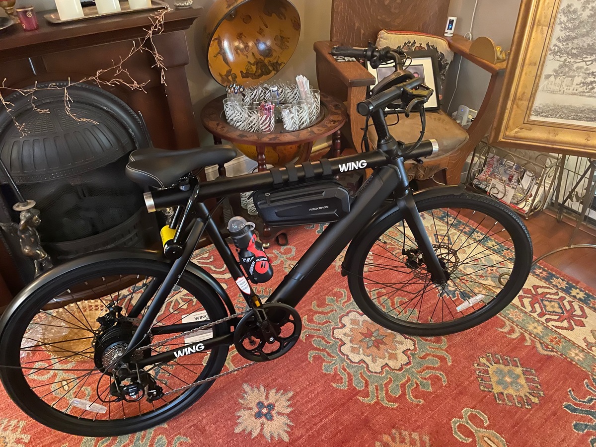 2022 Wing Bikes Freedom x