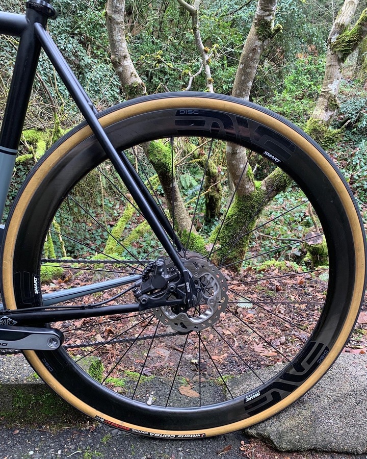 2018 Breadwinner Lolo Disc