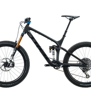 2019 Trek Remedy