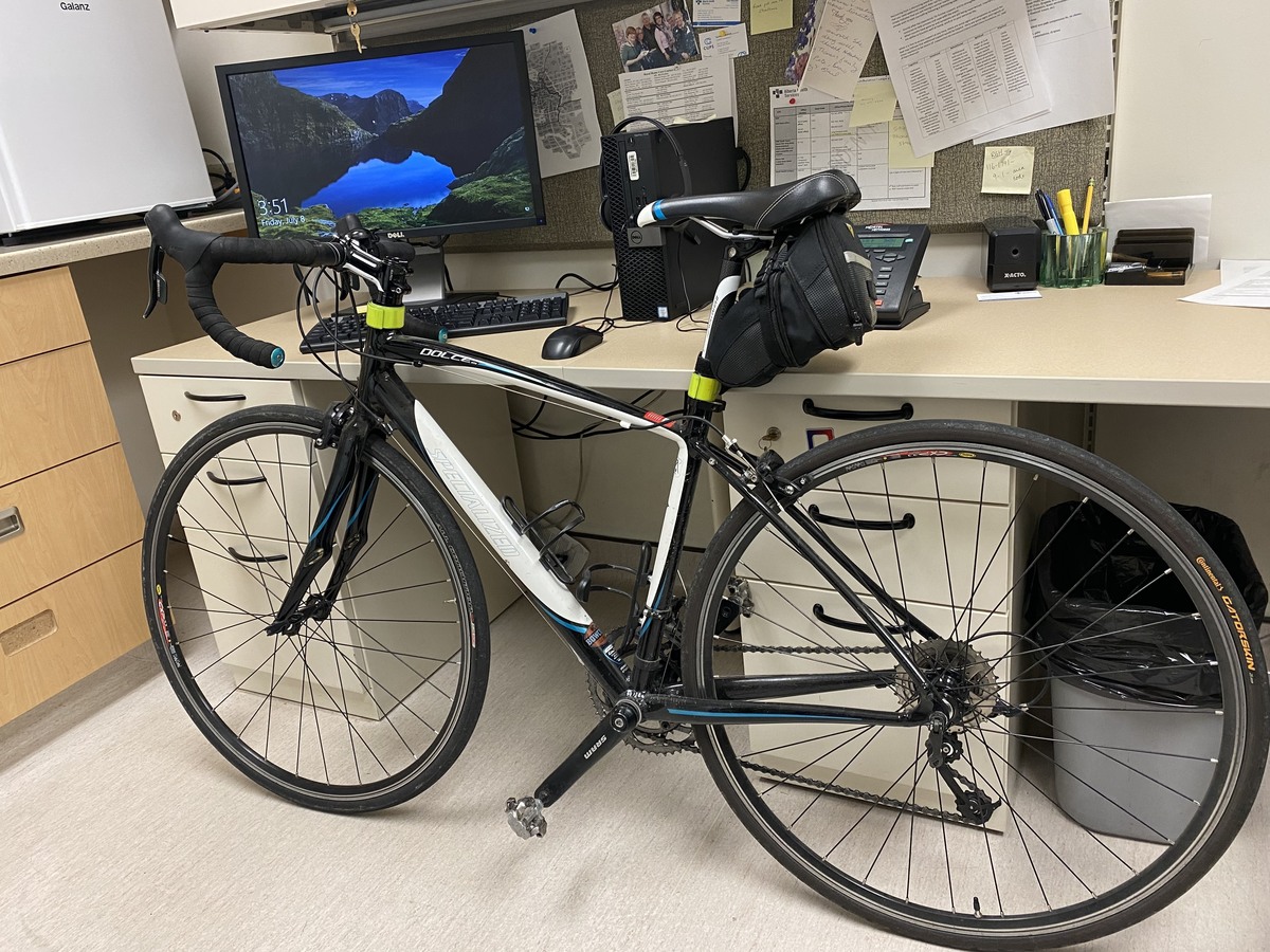 2010 Specialized Dolce Elite Triple