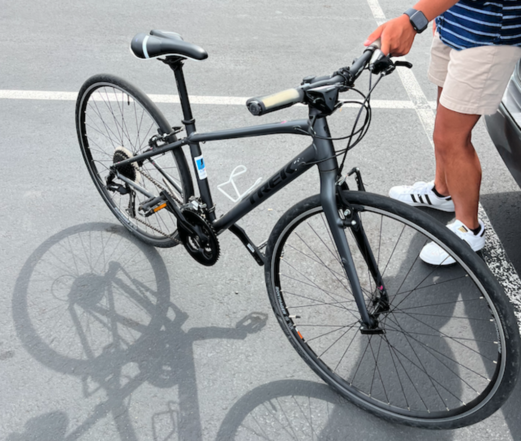 2019 Trek FX 3