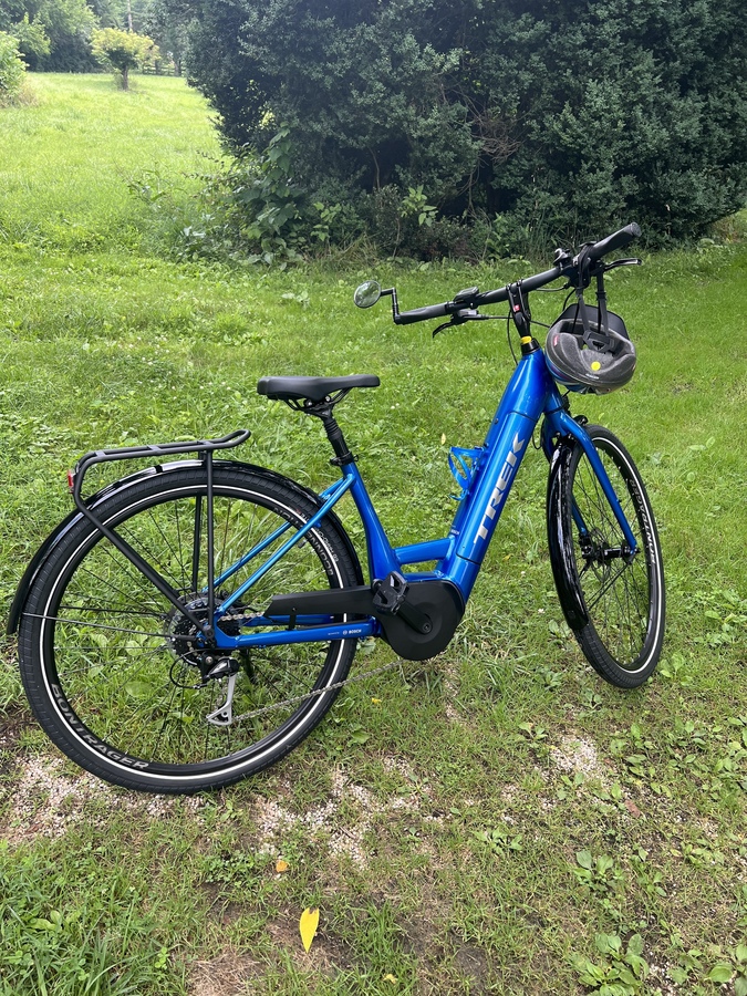 2022 Trek Step through