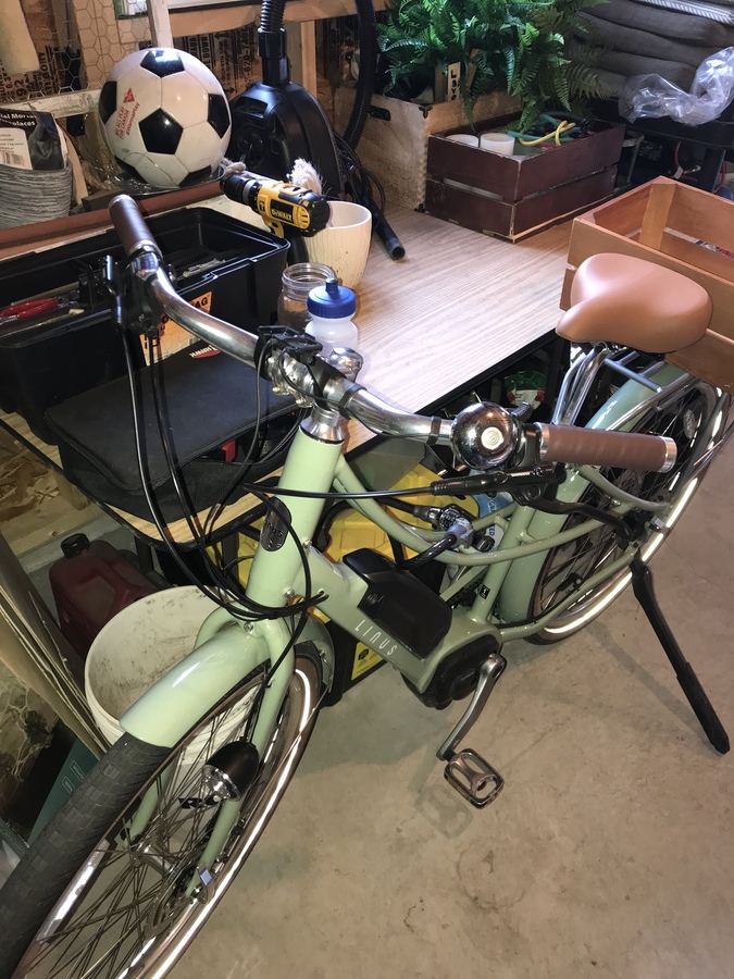 2022 Linus EMBER e6100