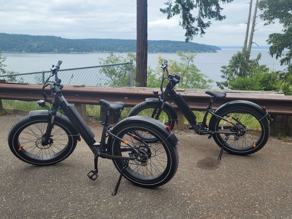 2022 Rad Power Bikes Step Thru