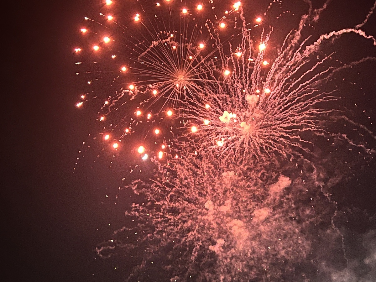 2021 Trek Domane SL6