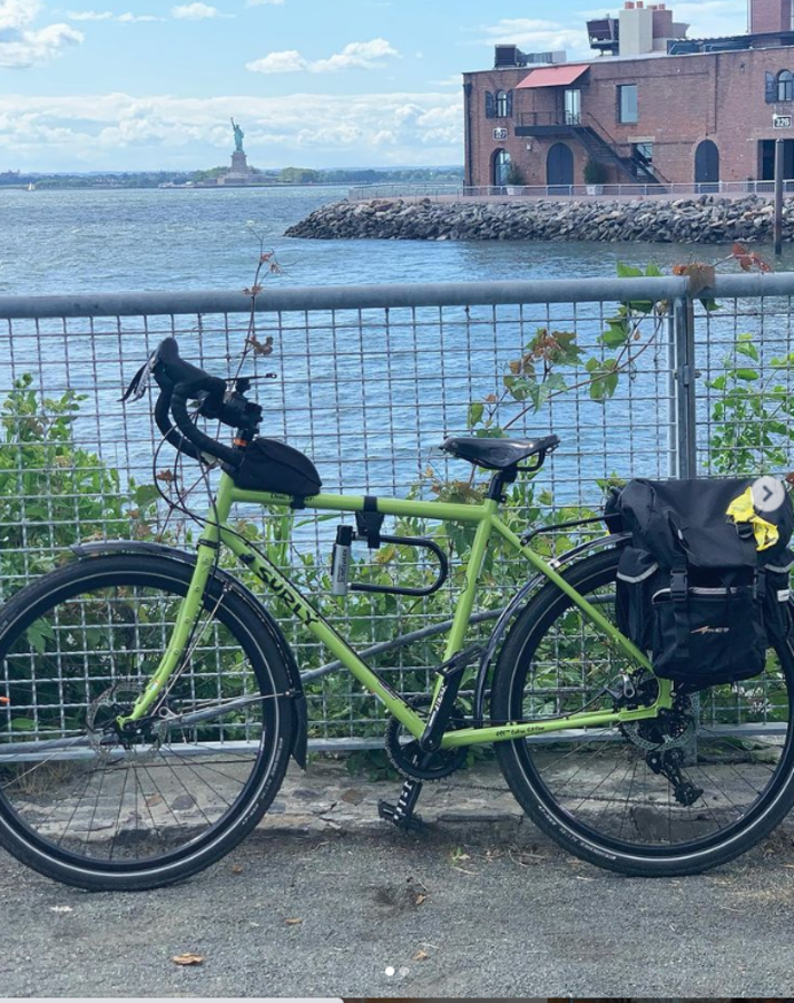 Stolen 2020 Surly Disc Trucker