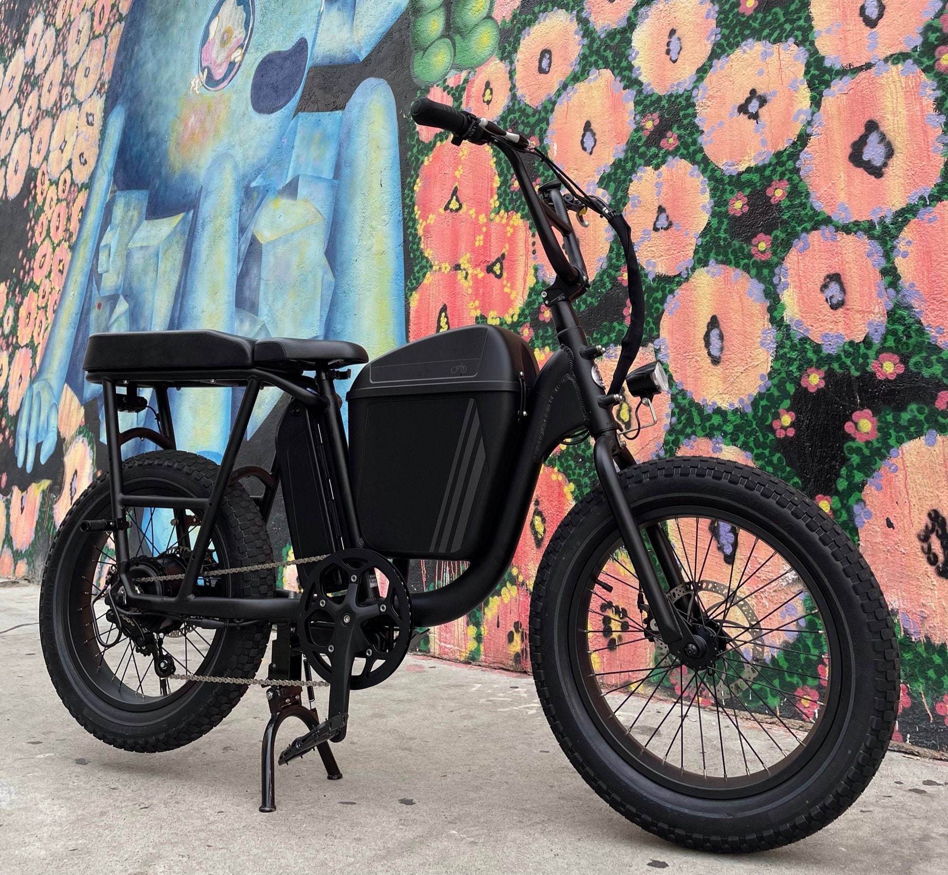 2020 Rad Power Bikes Rad Runner 1