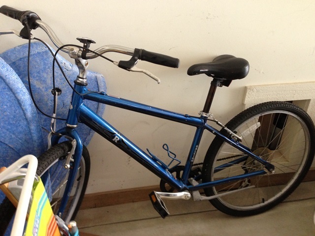 Stolen 2007 Raleigh Adventure