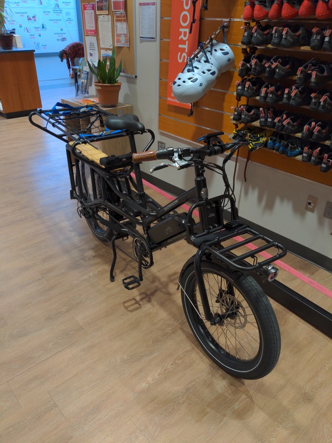 2022 Rad Power Bikes Radwagon 4 cargo bike rear