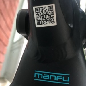 2019 Specialized Levo Turbo