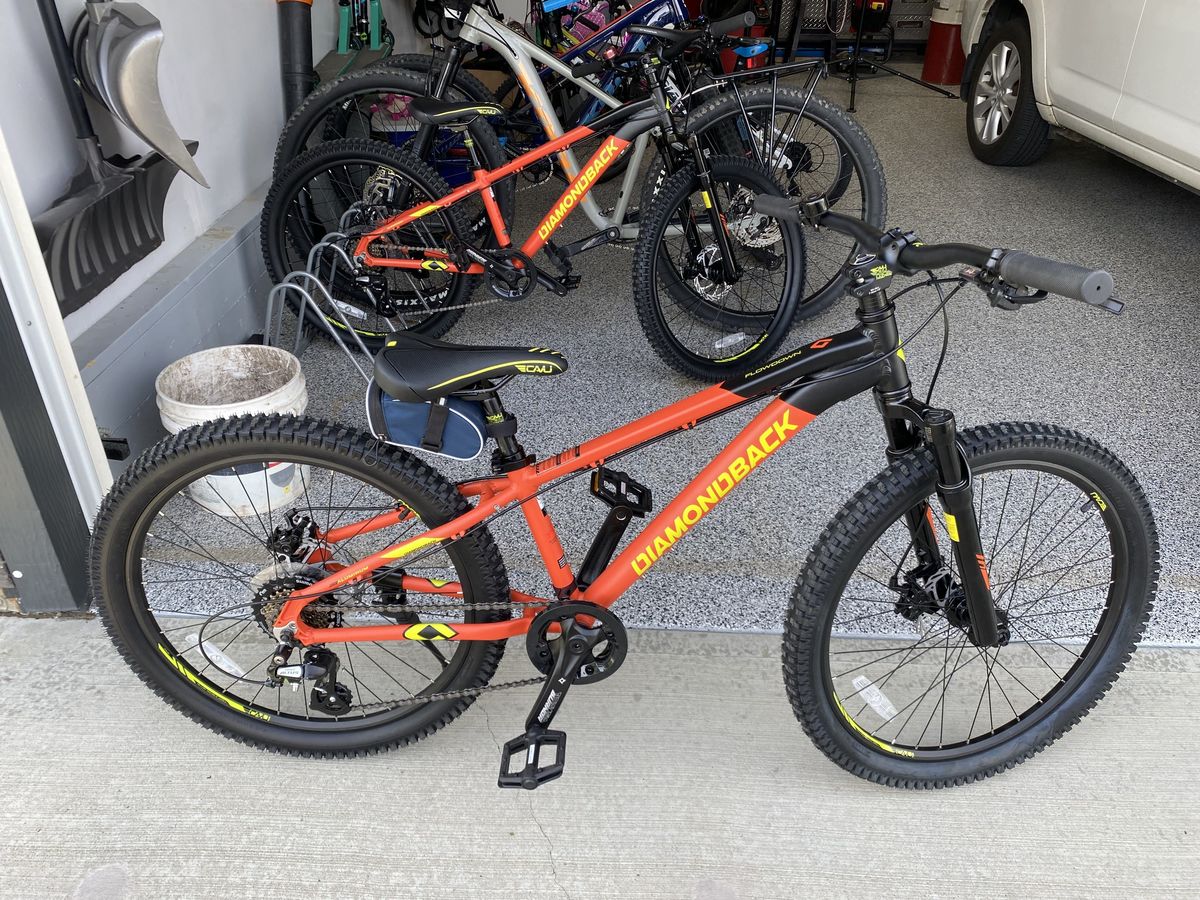 2022 Diamondback Kids' Flowdown 24"
