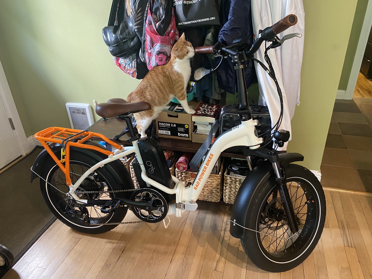 Stolen 2021 Rad Power Bikes RadMini Step-Thru 2