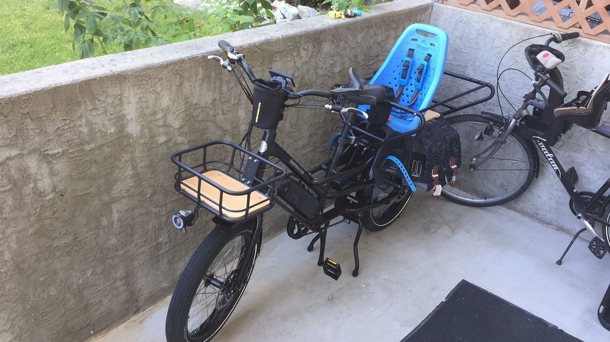 2022 Rad Power Bikes Rad Wagon 4 cargo bike rear