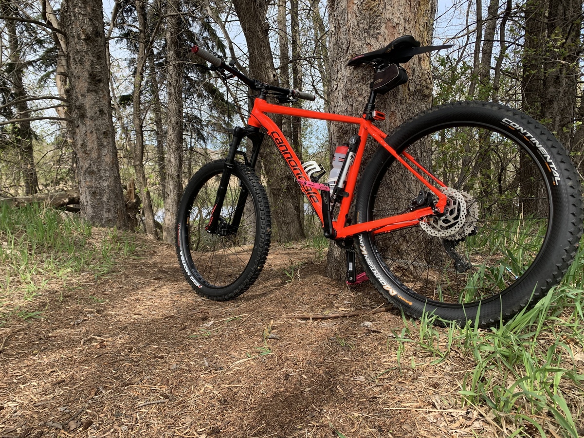 2019 Cannondale Cujo