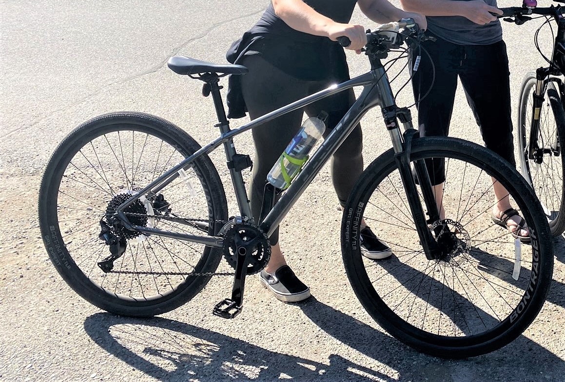 2019 Trek Alpha Gold Aluminum frame