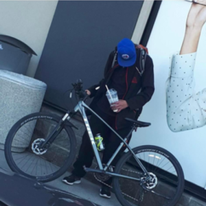 2019 Trek Alpha Gold Aluminum frame