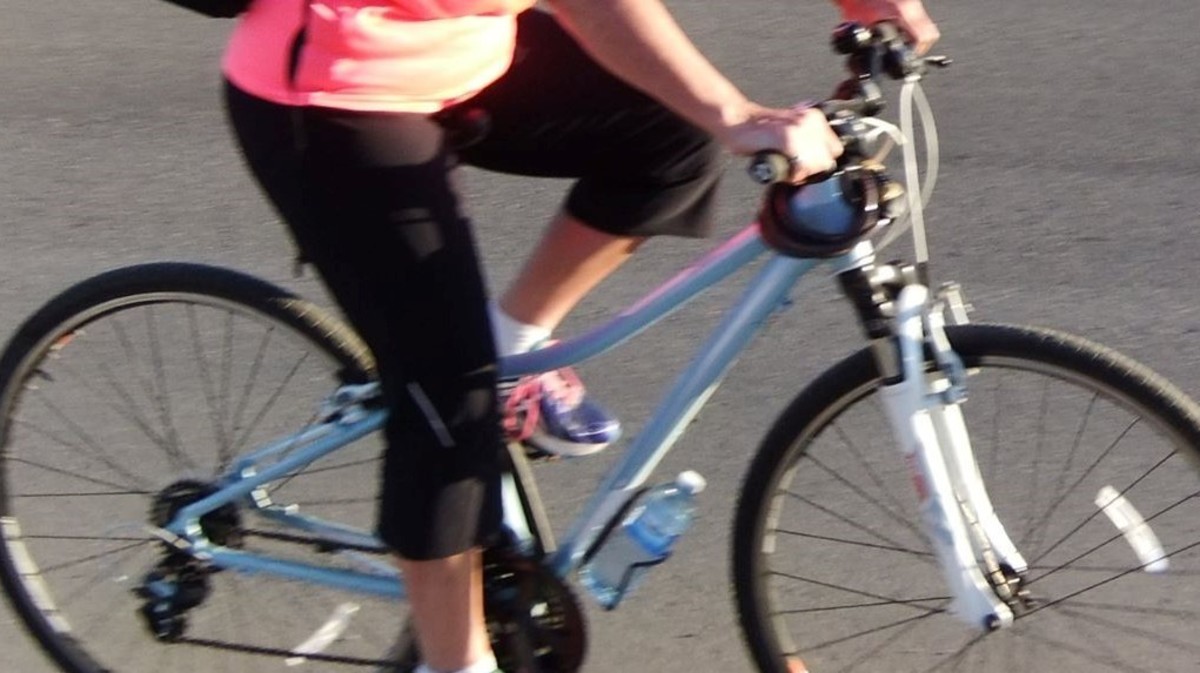 Stolen 2014 Trek Neko