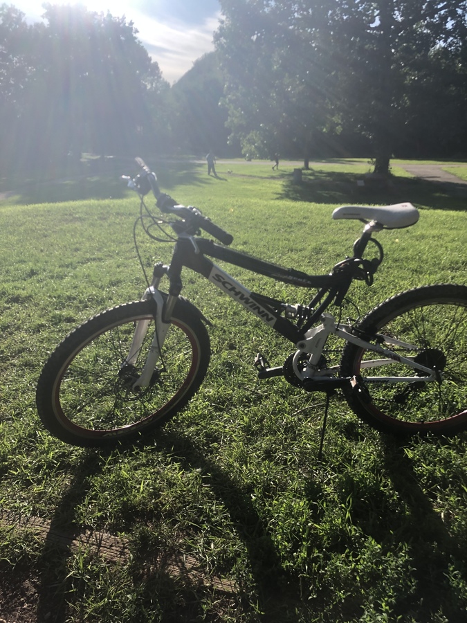2015 Schwinn Graft