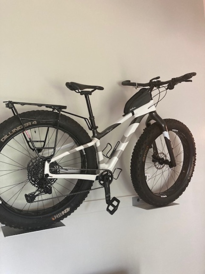 2020 Salsa Beargrease SX Eagle