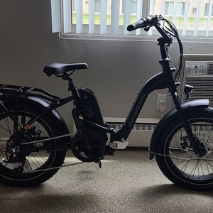 2022 Rad Power Bikes Expand 5