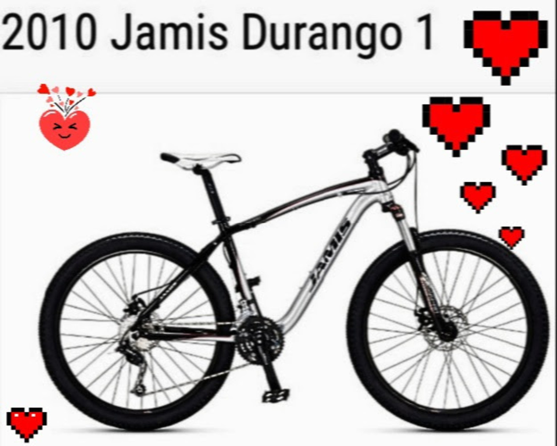 Stolen 2010 Jamis Durango 1