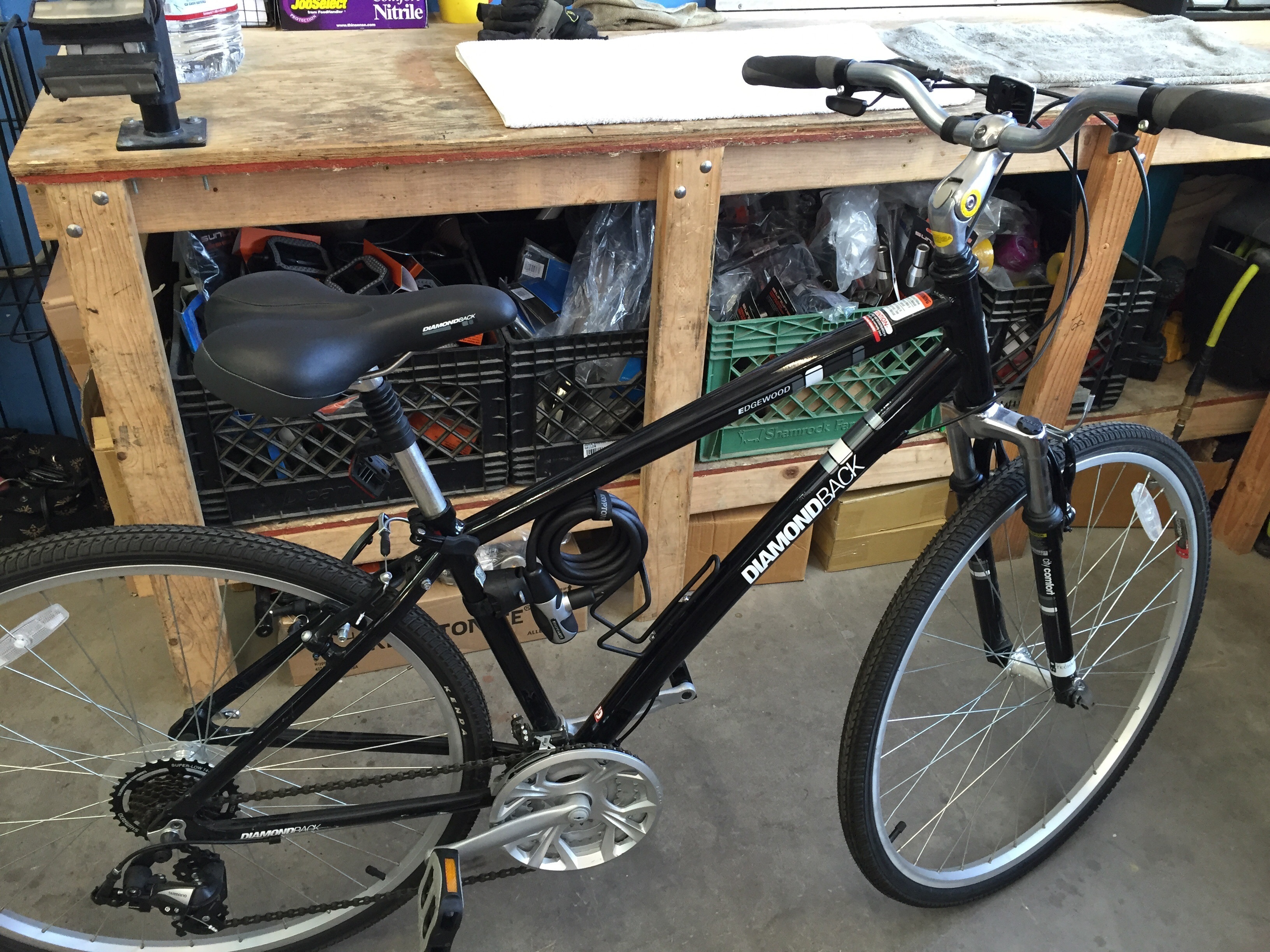 2010 Diamondback Edgewood