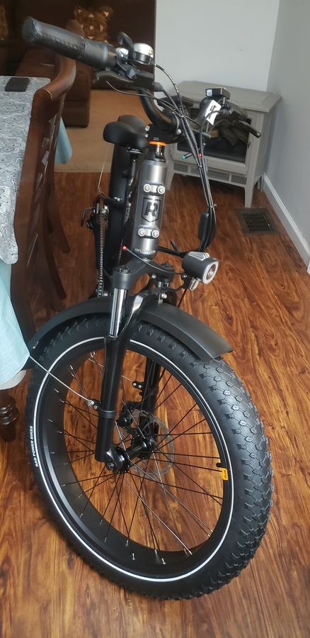 2021 Rad Power Bikes Rad Rover 6 plus high step