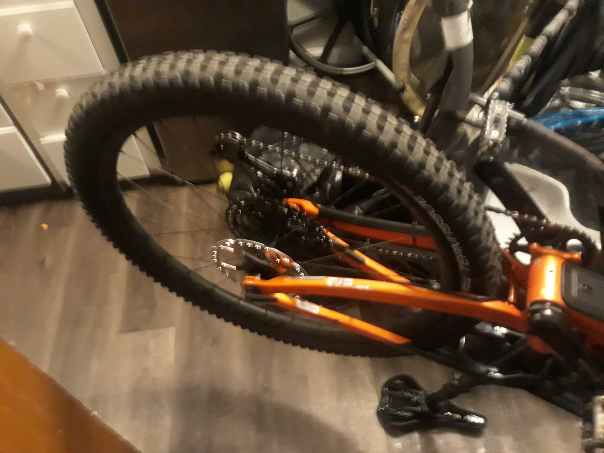 2022 Trek Fuel ex