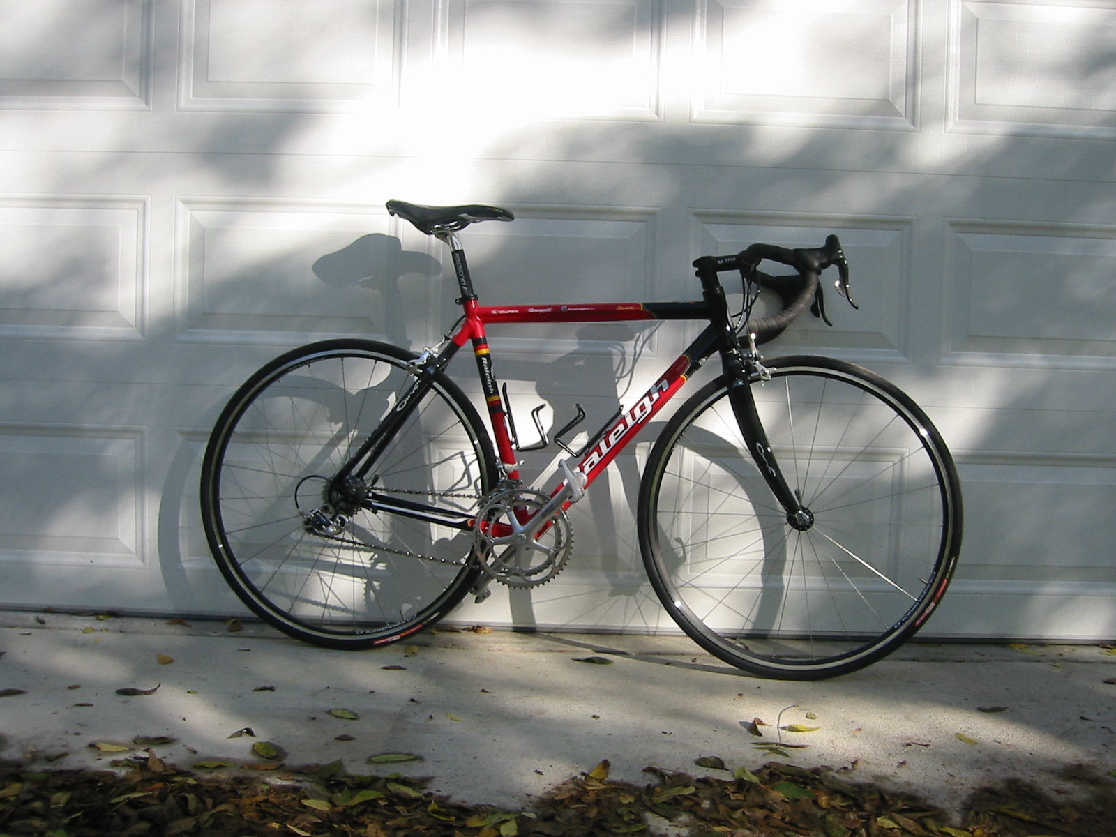 2001 Raleigh Competition