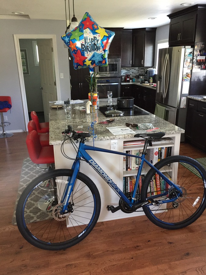 2016 Diamondback Trace