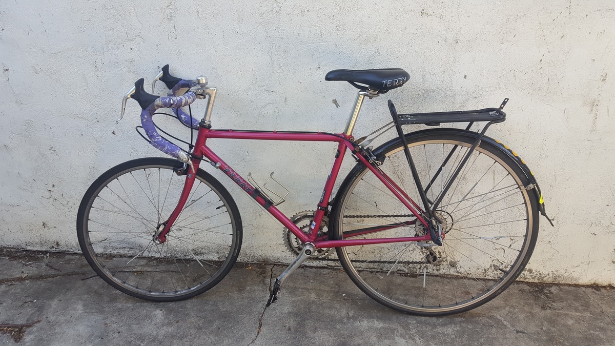 Terry Georgena Terry