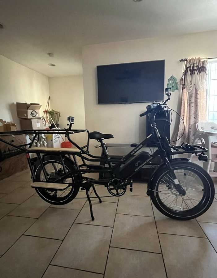 2022 Rad Power Bikes Rad wagon cargo bike