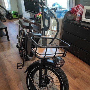 2022 Rad Power Bikes RadRunner Plus