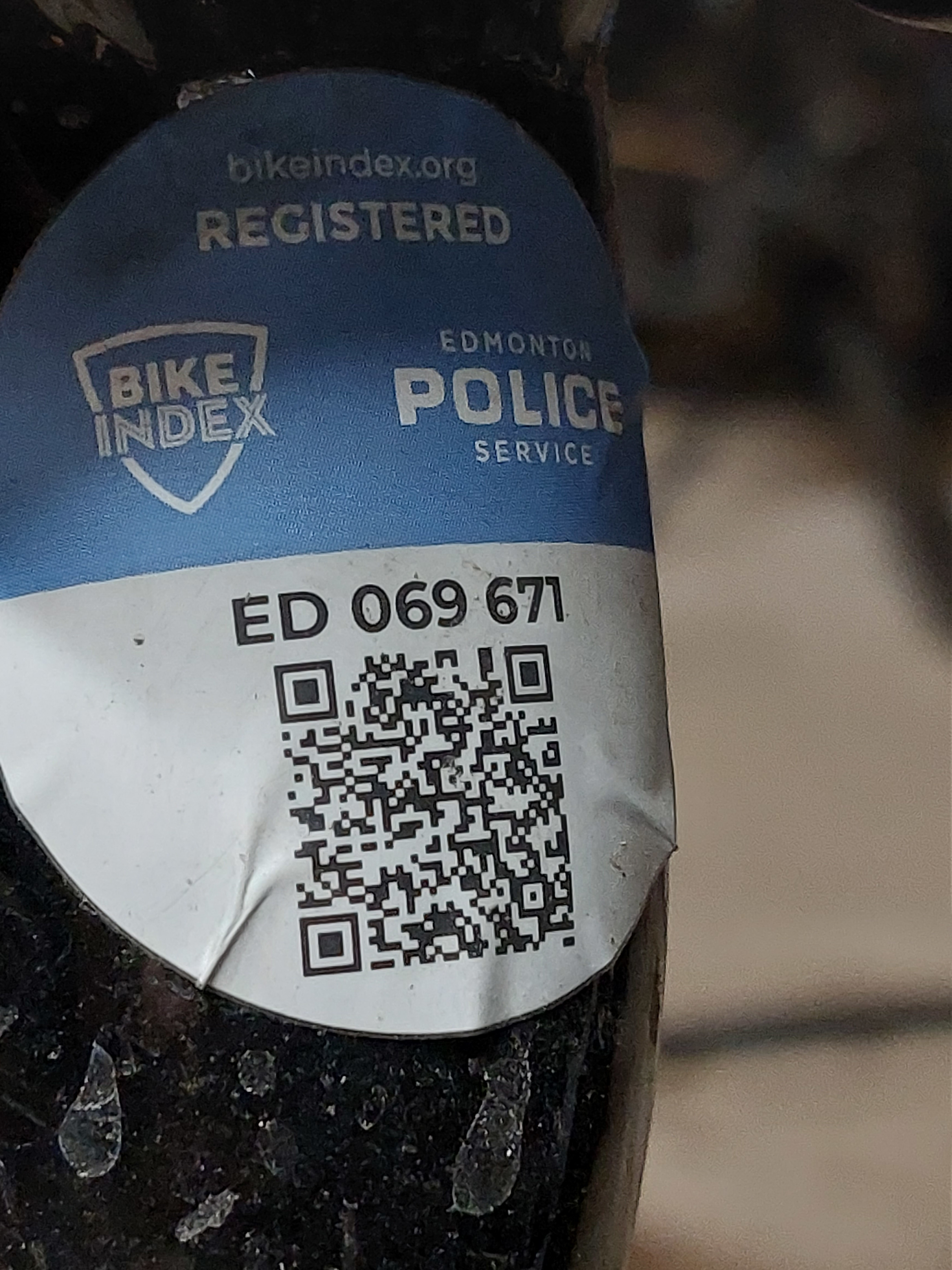 2022 Polygon Siskiu T8