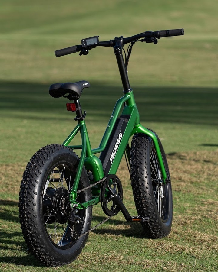 Stolen 2020 Pedego Element
