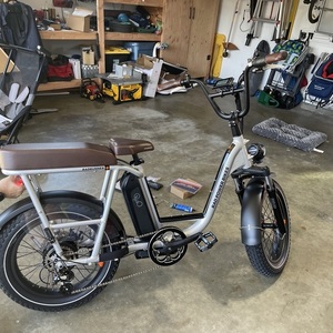 2022 Rad Power Bikes Rad Runner Plus