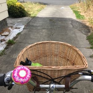 2017 Electra Townie 21D Ladies