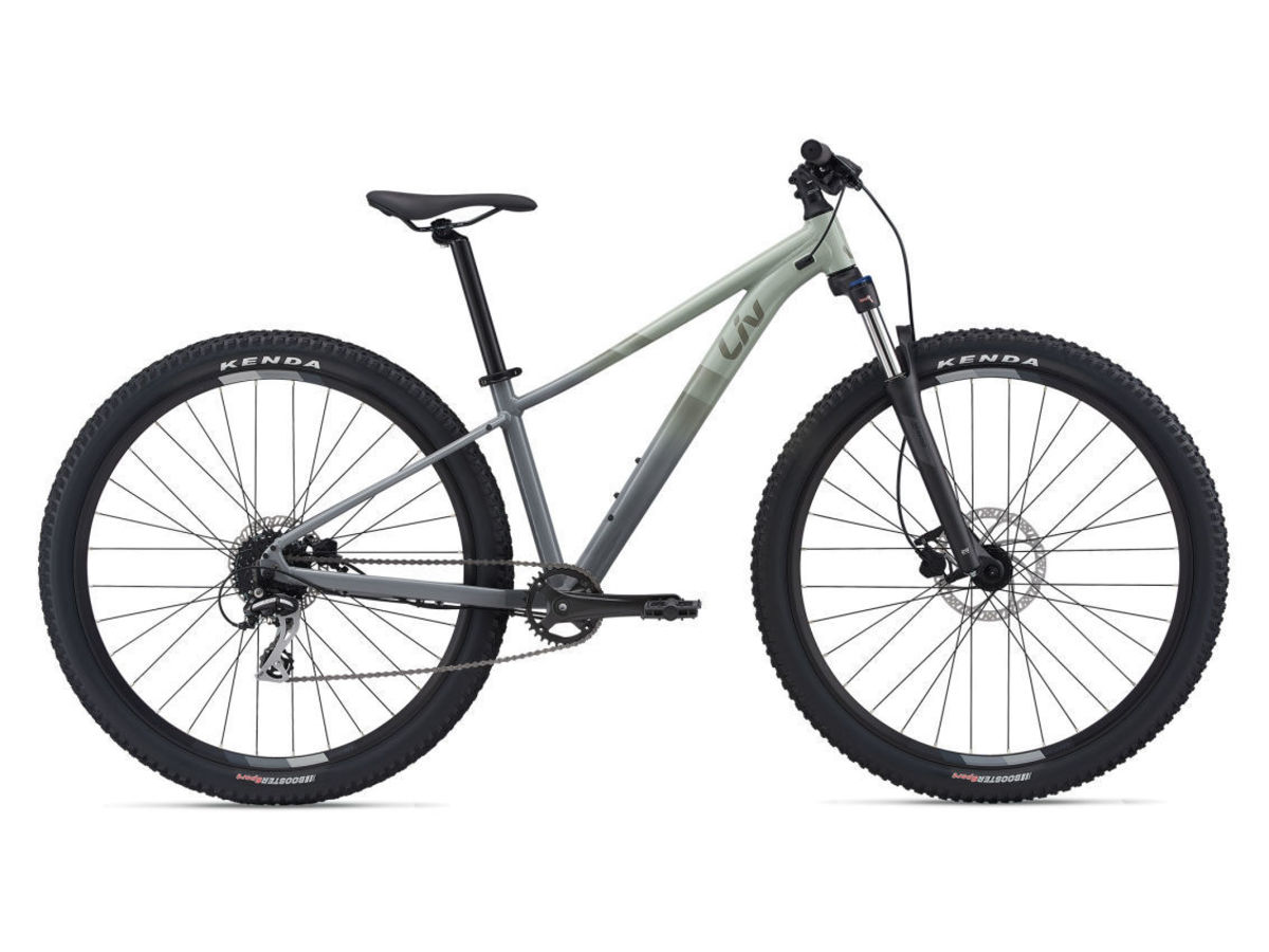 2022 Giant Temp 2 (Talon 2)