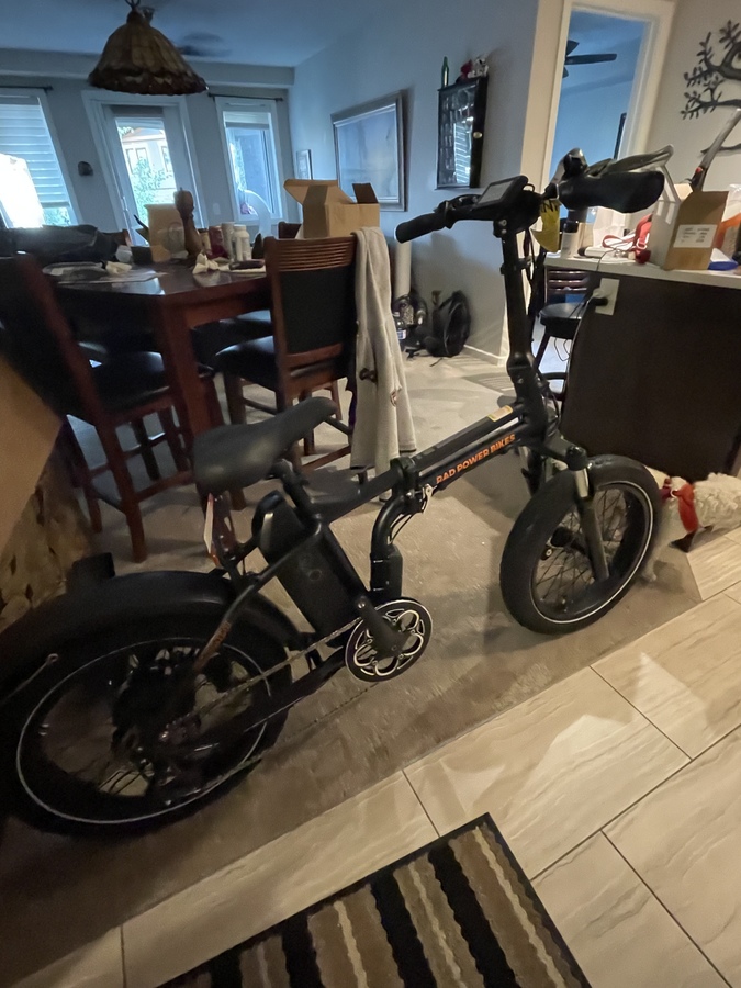 2022 Rad Power Bikes RAD MINI 4