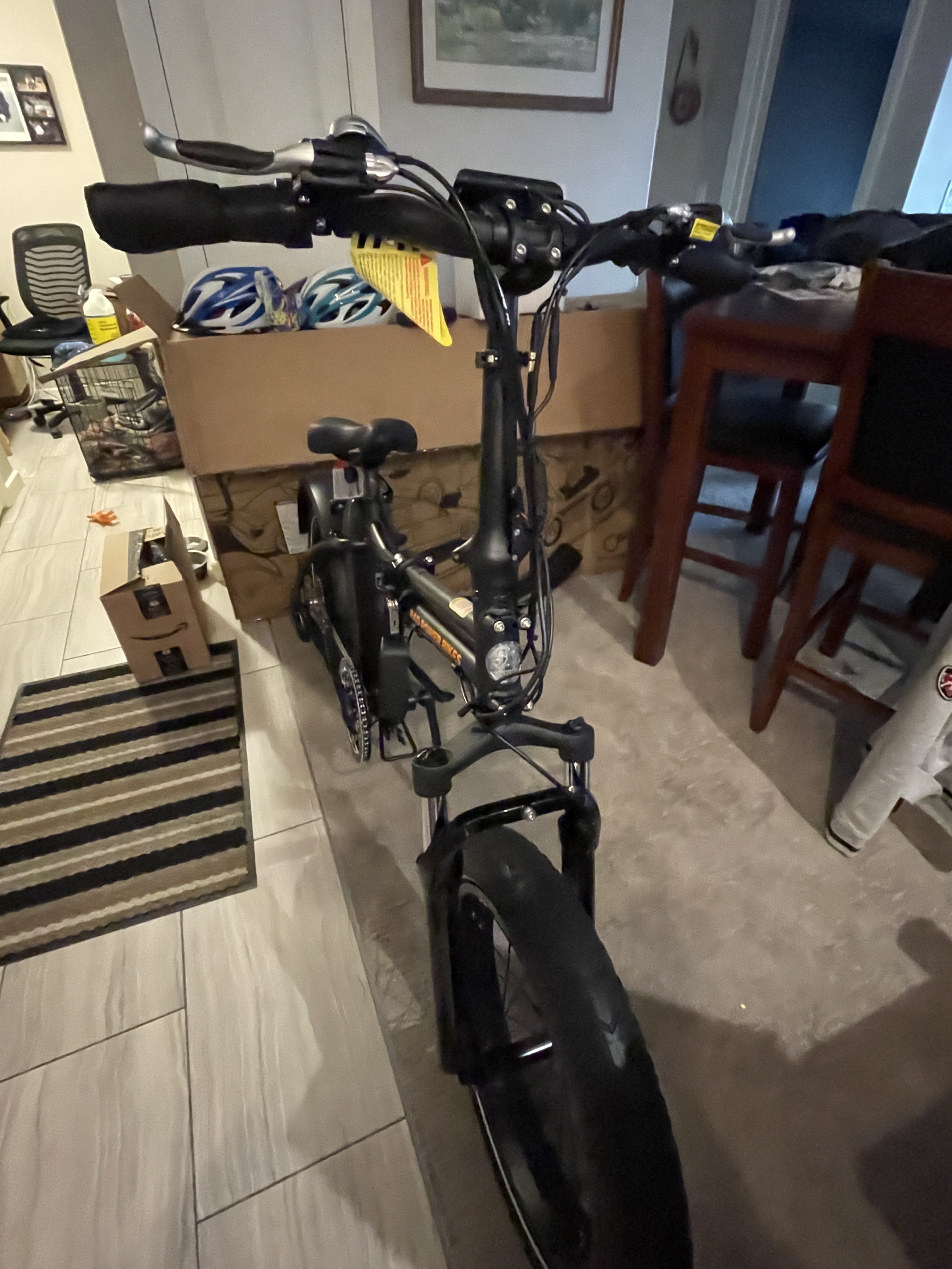 2022 Rad Power Bikes RAD MINI 4