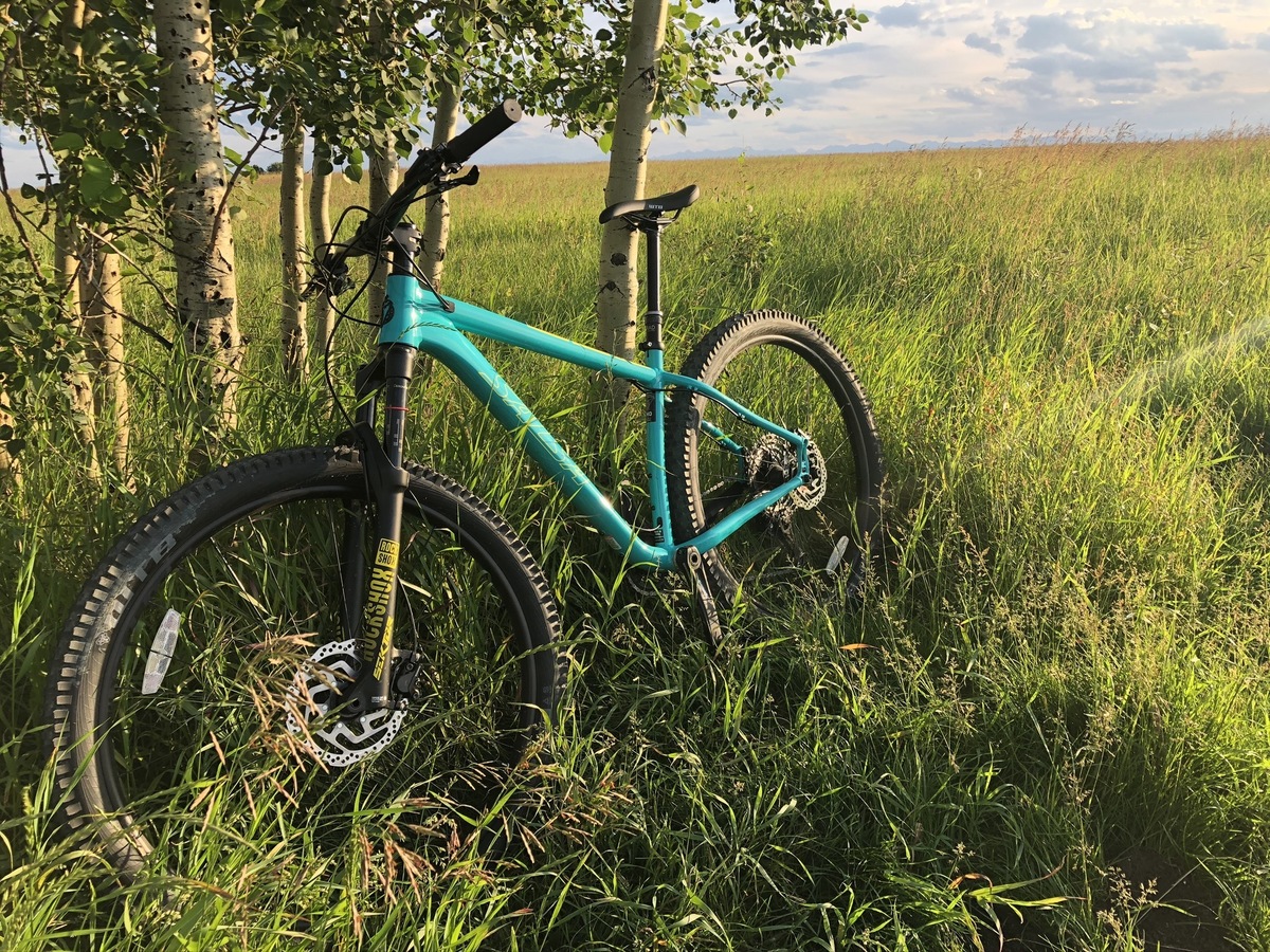 2020 Salsa Timberjack