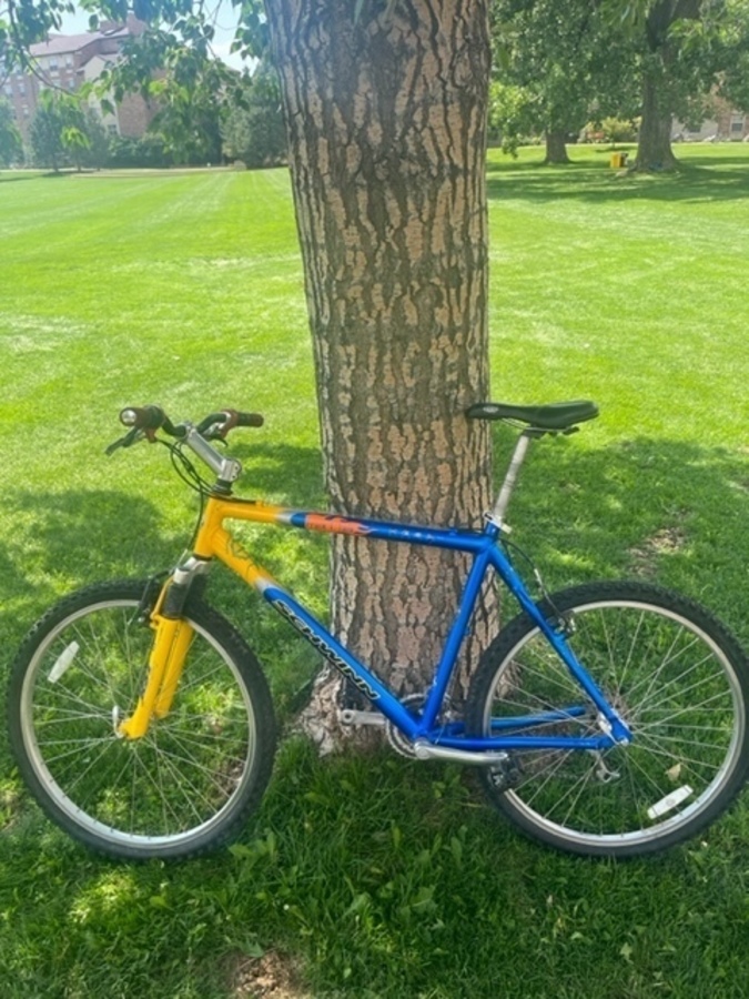 1996 Schwinn Mesa