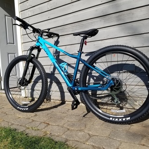 2020 Liv Mountain Bike
