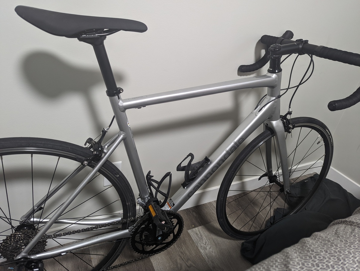 2022 Cannondale Caad Optimo