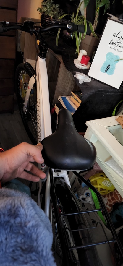 2021 Infinity Cycle Works Boss 3 disc